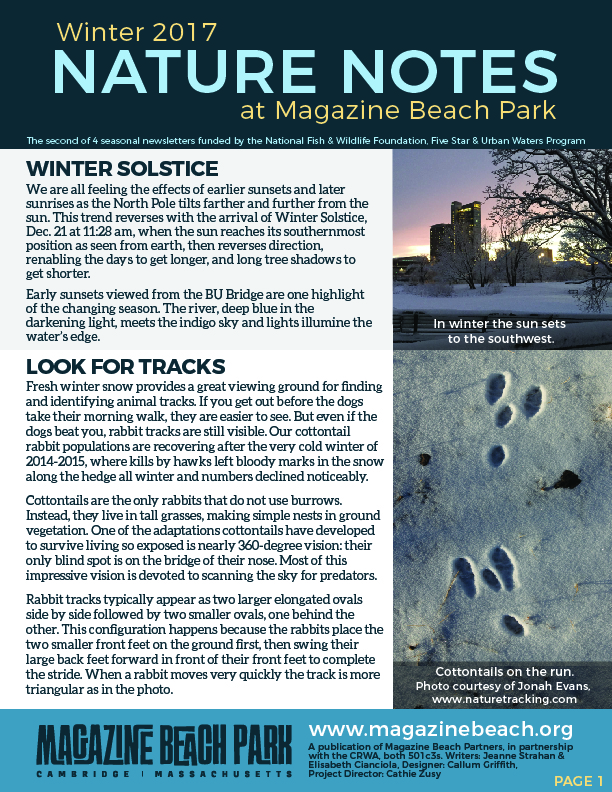 Nature & History | Magazine Beach