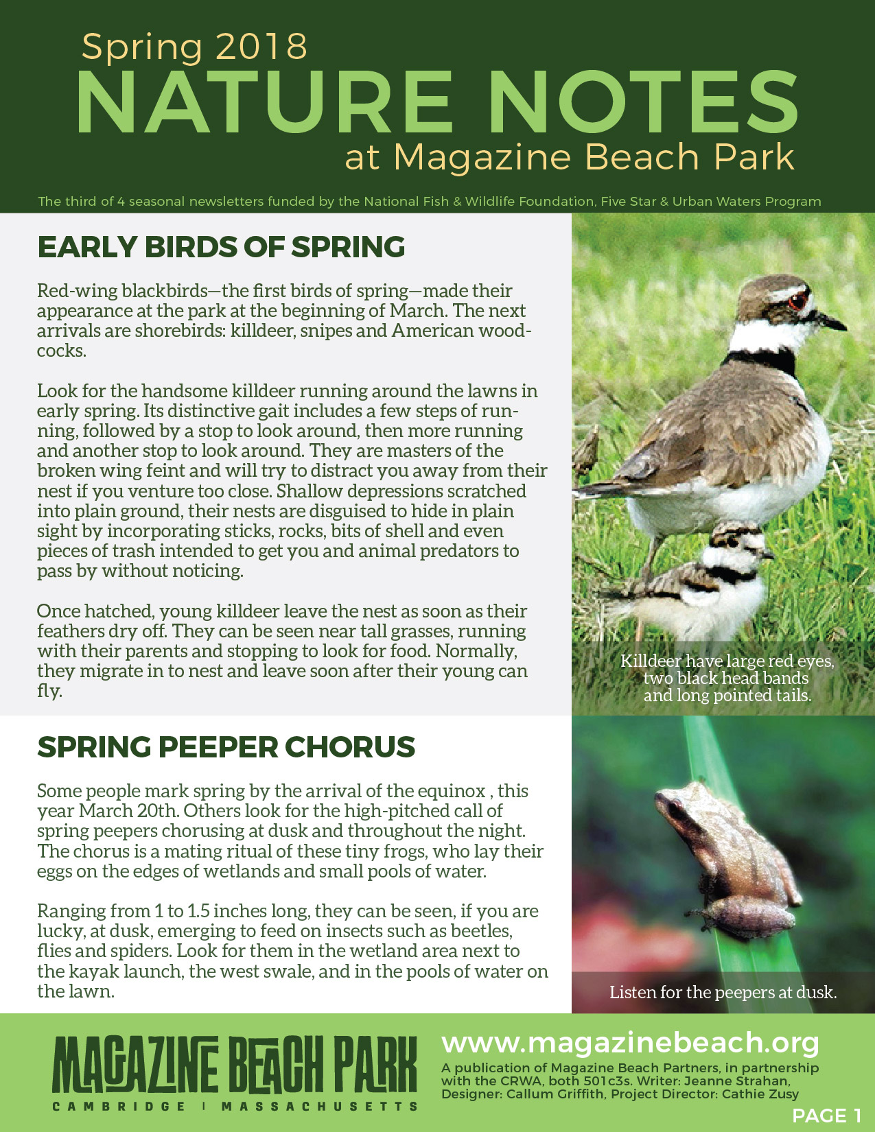 Nature & History | Magazine Beach