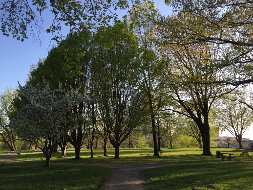 About | Magazine Beach